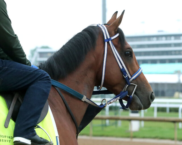 Churchill Downs Update: Lukas Classic Contenders Mystik Dan, Hit Show ...