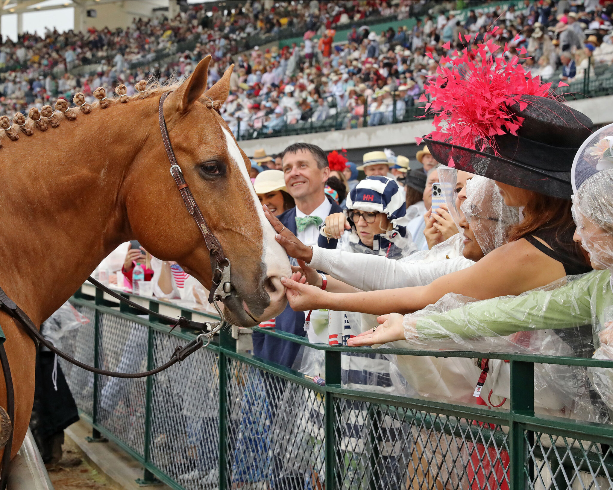 Churchill Downs News Release: Thoroughbred Aftercare Day Set for ...