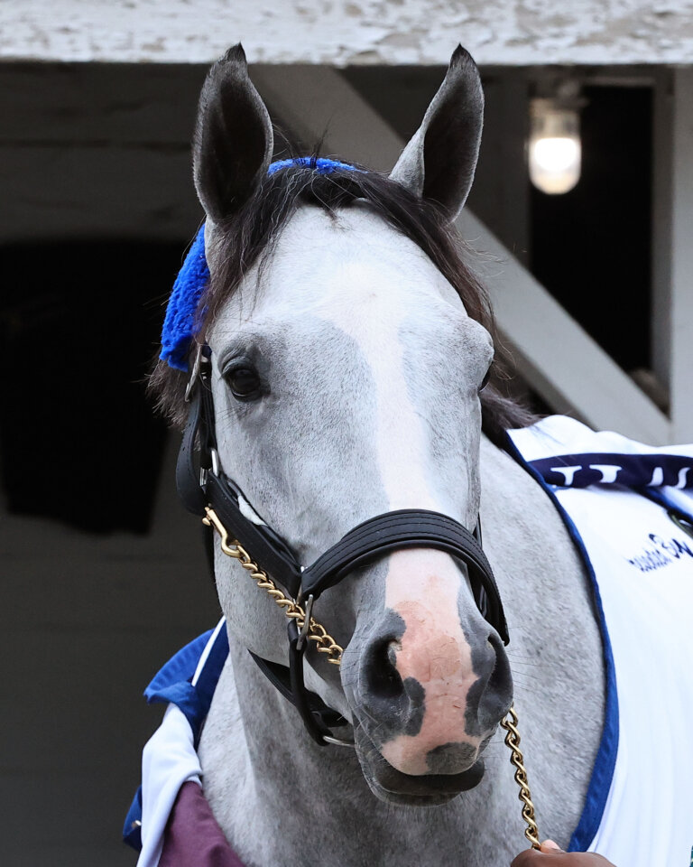Churchill Downs Update: White Abarrio Works Half-Mile in :49.81 at ...